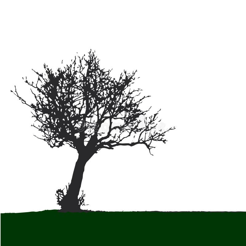 Big leafless tree stock vector. Illustration of white - 14993516