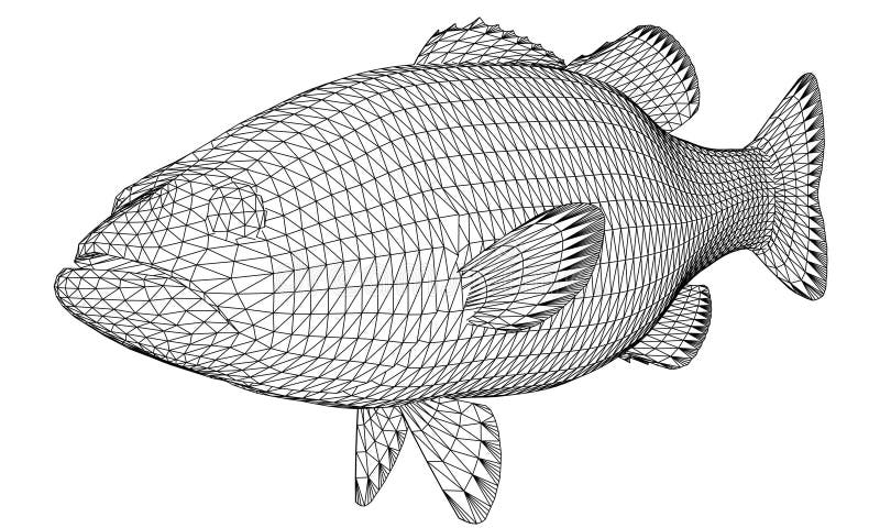 Fish polygonal stock vector. Illustration of glossy, modern - 57637336