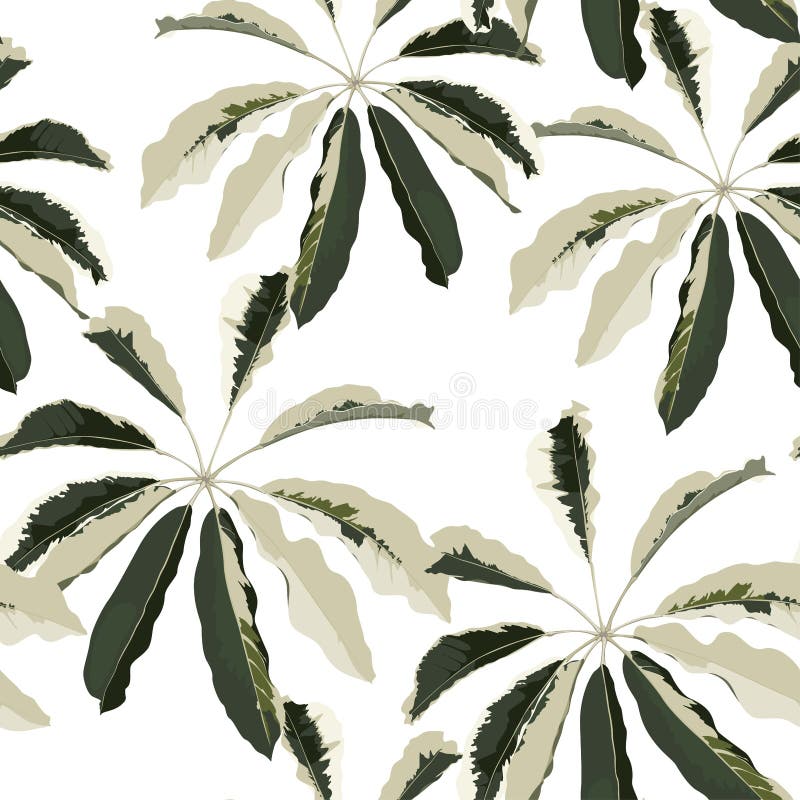 Seamless Pattern with Traditional Home Plant Leaves. Endless Texture ...