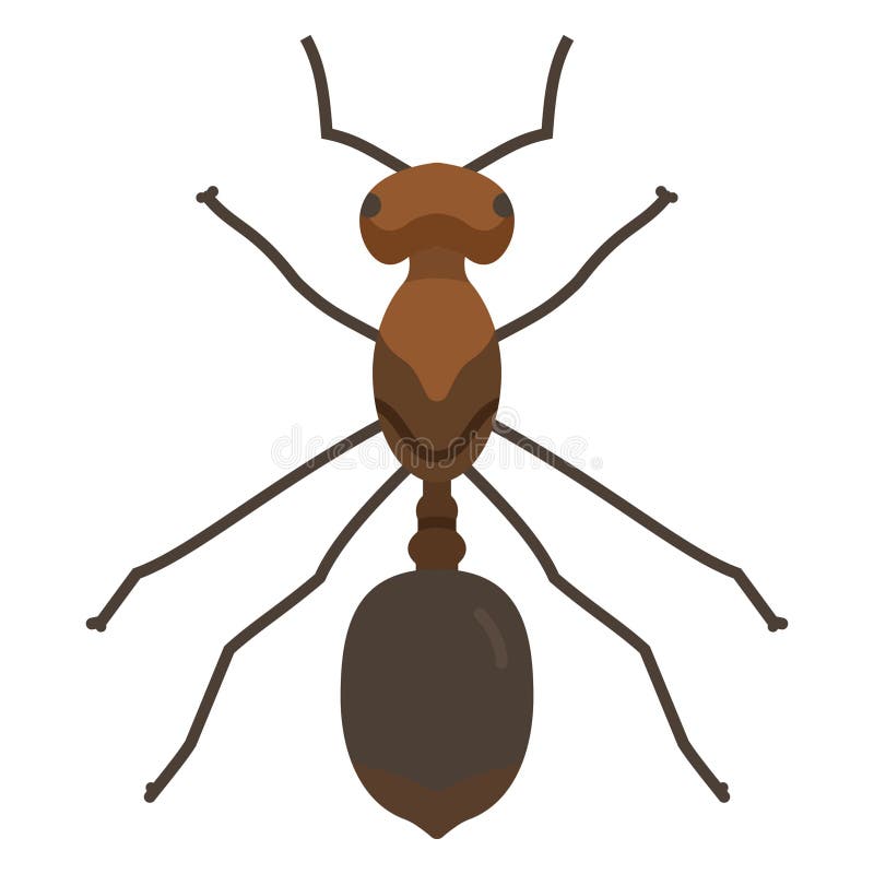 Crawl Vector Icon Illustration Which Can Easily Modify or Edit Stock ...