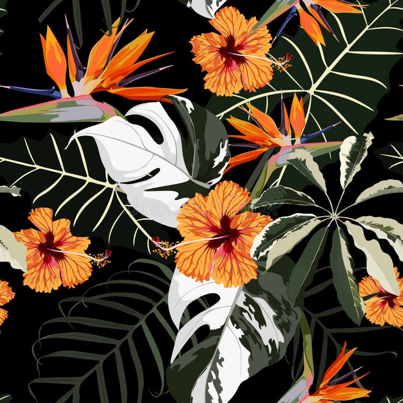 Orange hibiscus flower stock illustration. Illustration of fashion ...