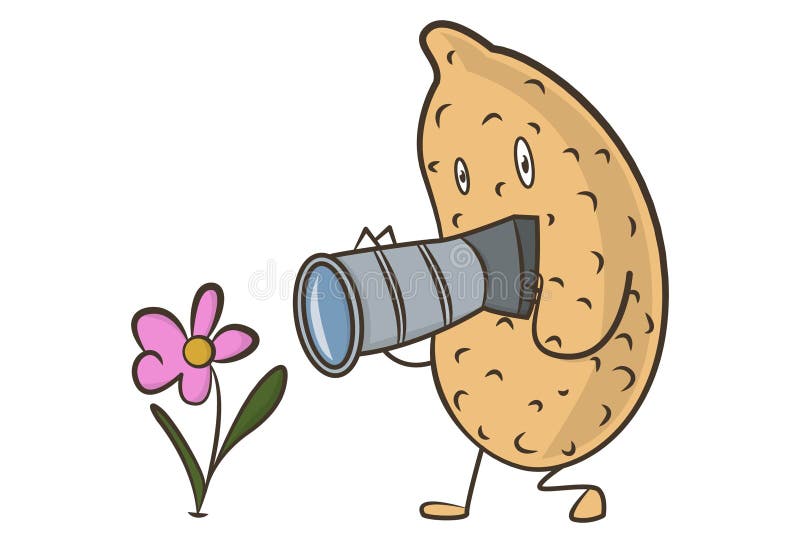 Groundnut Character Stock Illustrations – 154 Groundnut Character Stock ...