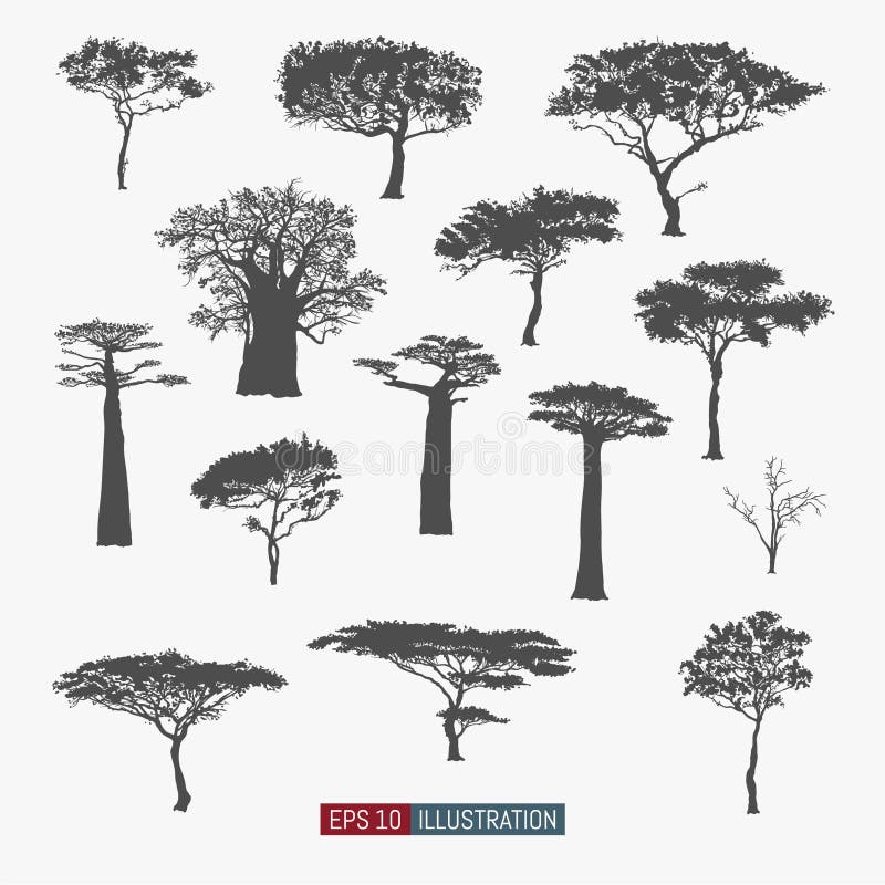 African Tree Stock Illustrations – 17,055 African Tree Stock ...