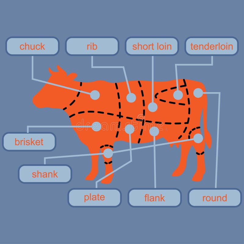 Steak Cuts Set. Beef Cuts Chart and Pieces of Beef, Used for Cooking ...