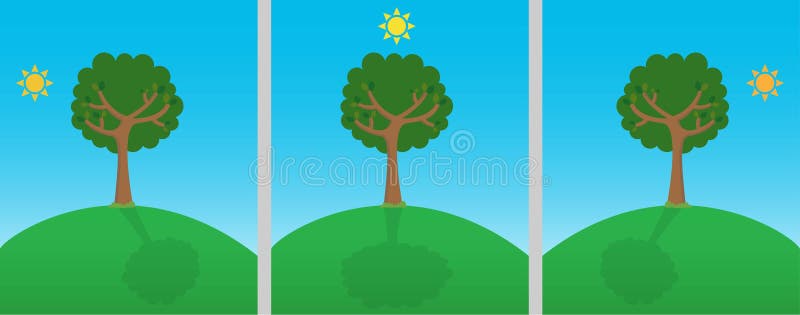 Morning Tree Shadows Stock Illustrations – 281 Morning Tree Shadows ...