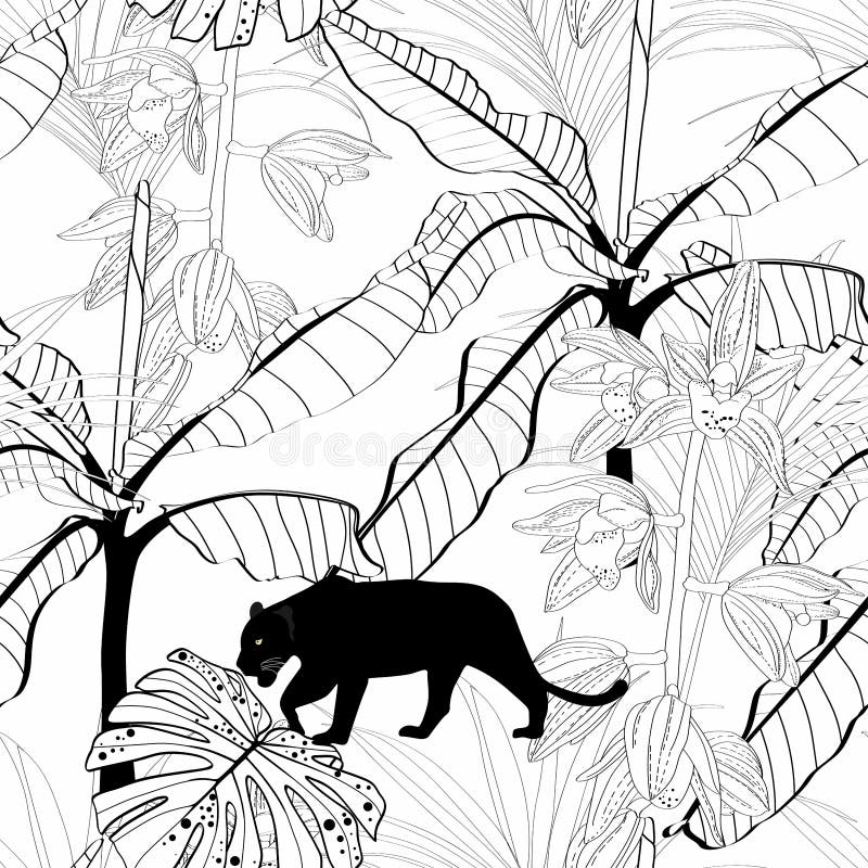 Pantera Stock Illustrations – 245 Pantera Stock Illustrations, Vectors ...