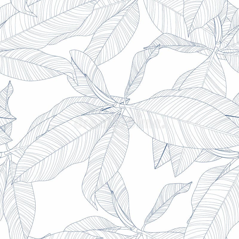 Ficus Tree Drawing Stock Illustrations – 1,035 Ficus Tree Drawing Stock ...