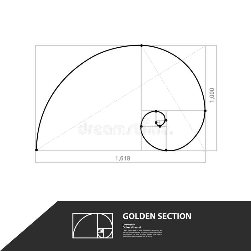 The Golden Ratio for Creative Design Vector Illustration. Stock Vector ...