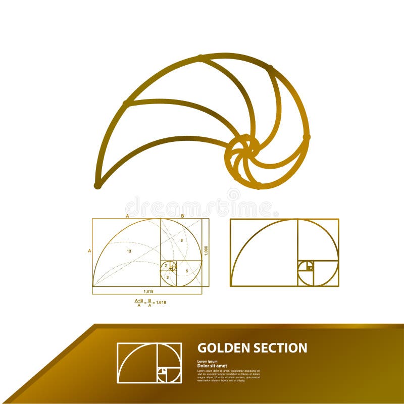 The Golden Ratio for Creative Design Vector Illustration. Stock Vector ...