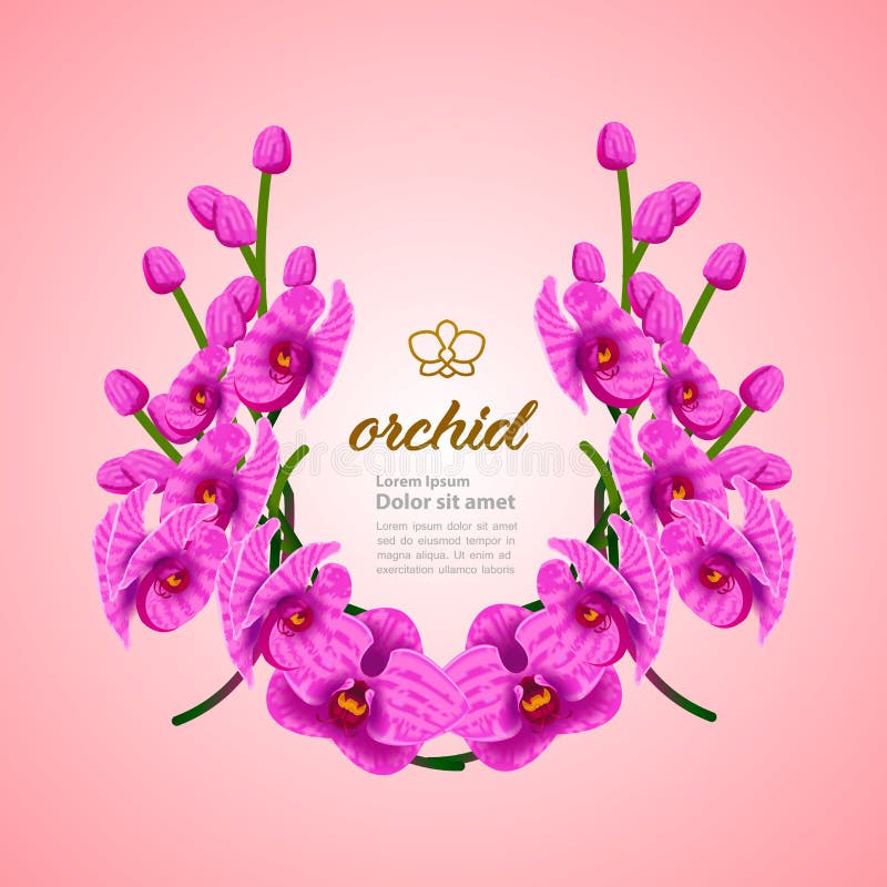 The Premium Grand Orchid Design Concept Vector Illustration. Stock ...