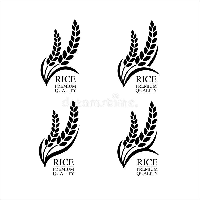 Premium Rice Great Quality Design Concept Vector. Stock Vector ...