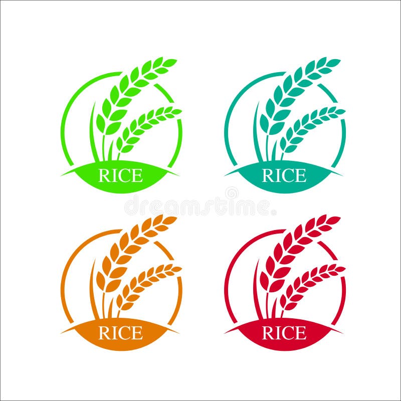 Premium Rice Great Quality Design Concept Vector. Editorial Photography ...