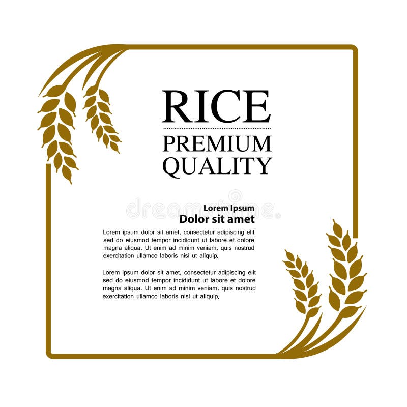 Premium Rice Great Quality Design Concept Vector. Stock Vector ...