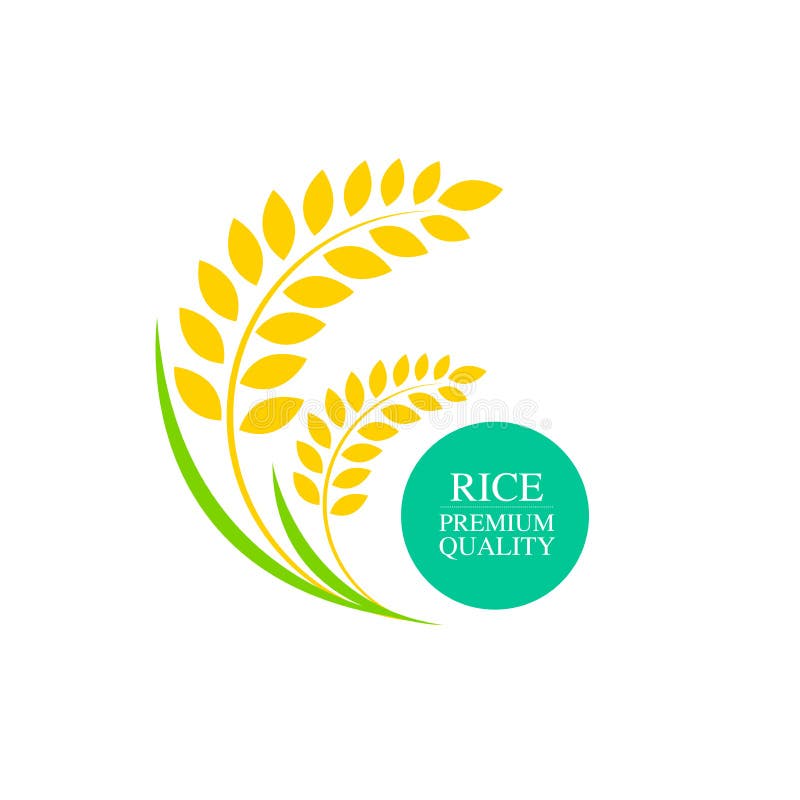 Premium Rice Great Quality Design Concept Vector. Stock Vector ...