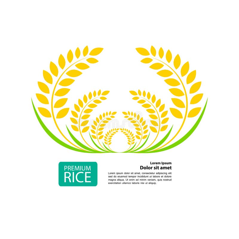 Premium Rice Great Quality Design Concept Vector. Stock Vector ...