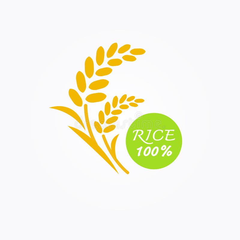Premium Rice Great Quality Design Concept Vector. Stock Vector ...