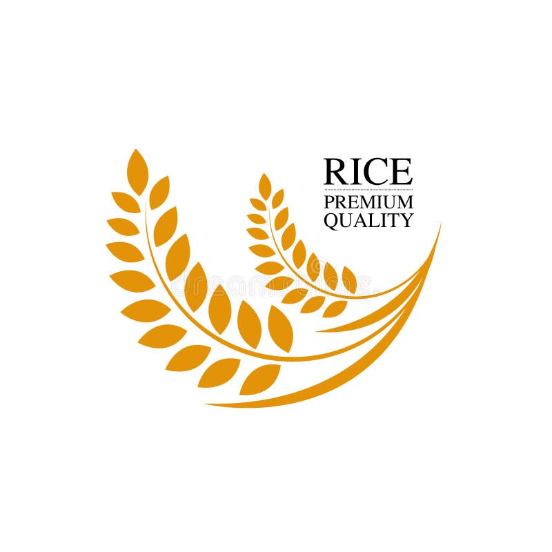 Premium Rice Great Quality Design Concept Vector. Stock Vector ...