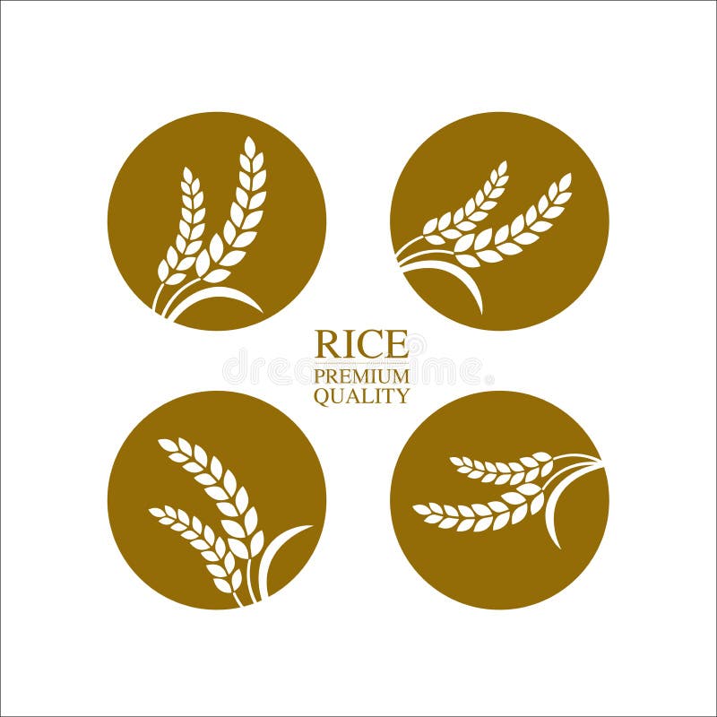Premium Rice Great Quality Design Concept Vector. Stock Vector ...