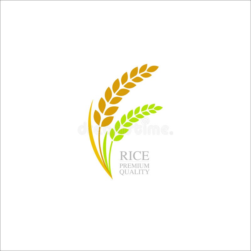 Premium Rice Great Quality Design Concept Vector. Stock Vector ...