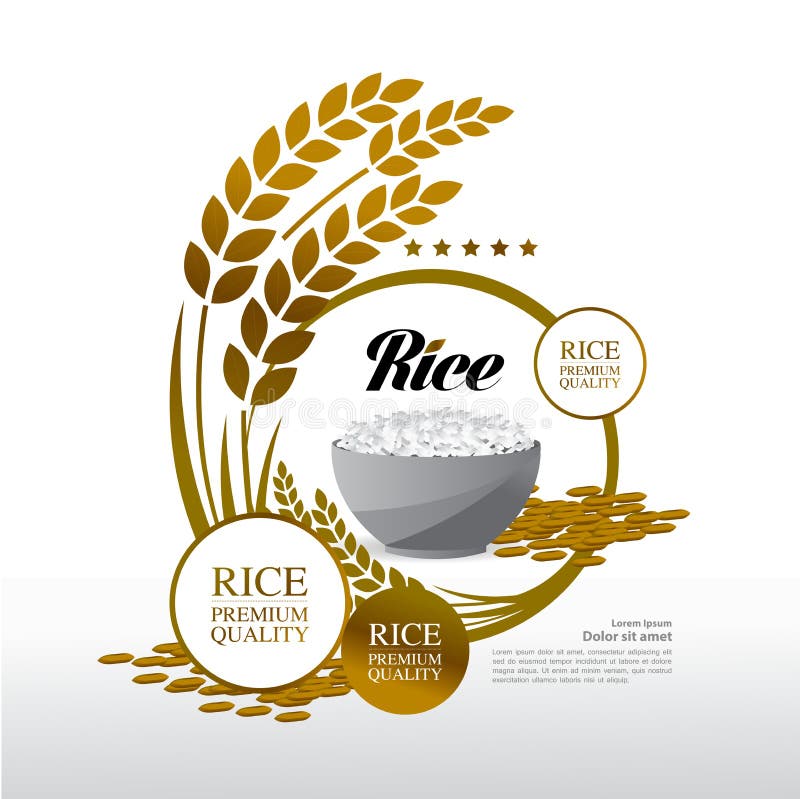 Premium Rice Great Quality Design Concept Vector. Stock Vector ...