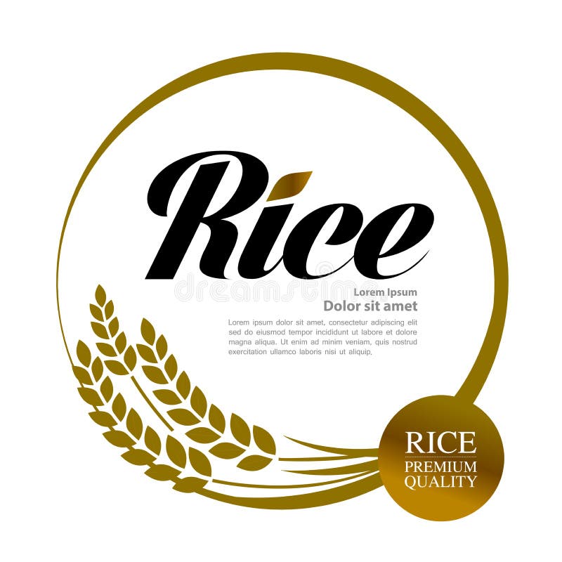 Premium Rice Great Quality Design Concept Vector. Stock Vector ...