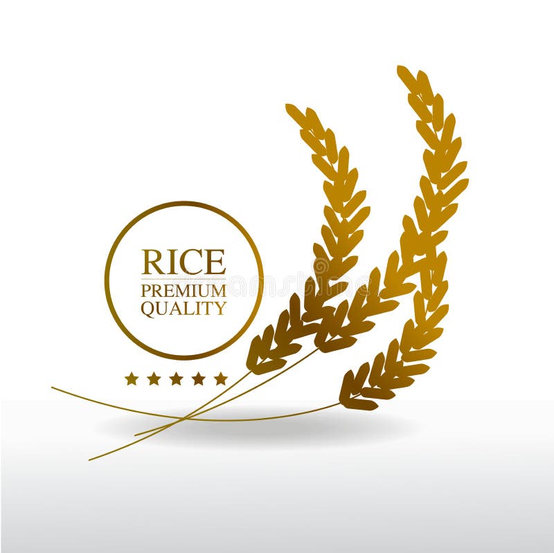 Premium Rice Great Quality Design Concept Vector. Stock Vector ...