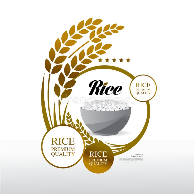 Premium Rice Great Quality Design Concept Vector. Stock Vector ...