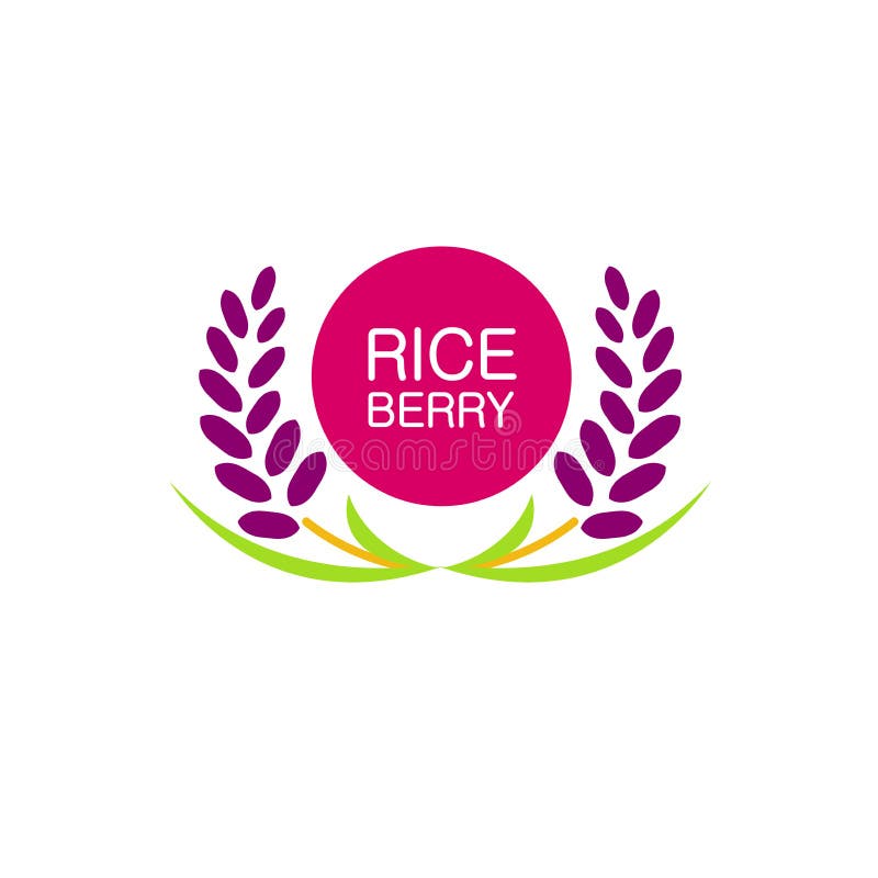 Premium Rice Great Quality Design Concept Vector. Stock Vector ...
