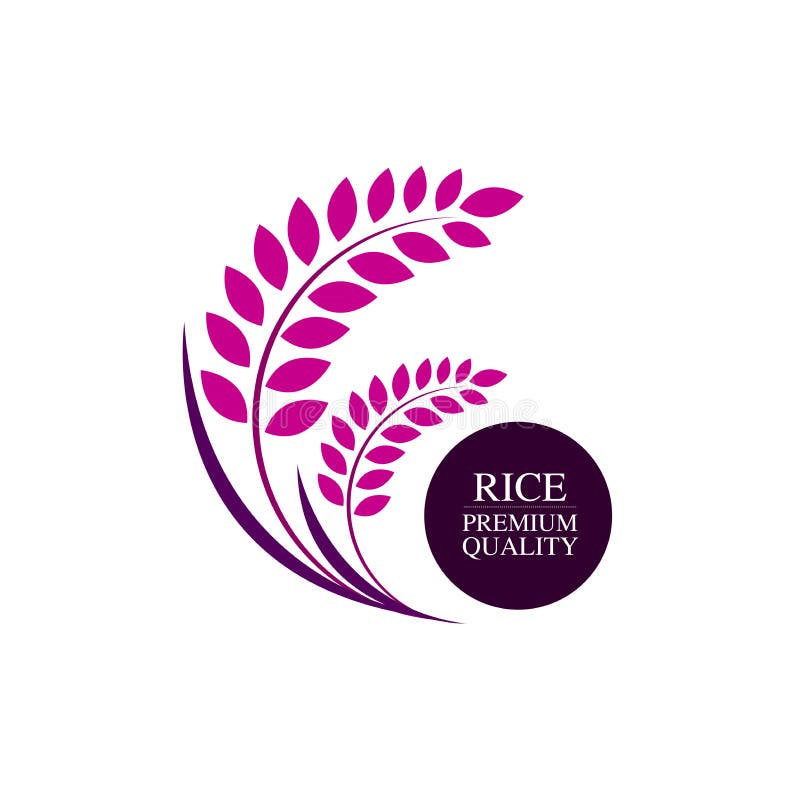 Premium Rice Great Quality Design Concept Vector. Stock Vector ...