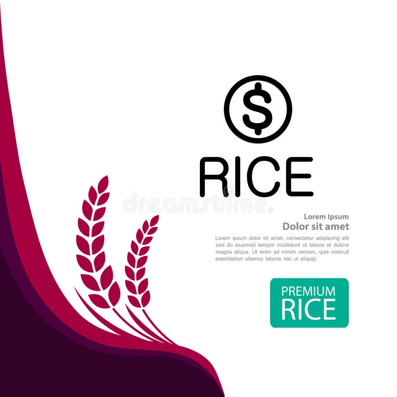 Premium Rice Great Quality Design Concept Vector. Stock Vector ...
