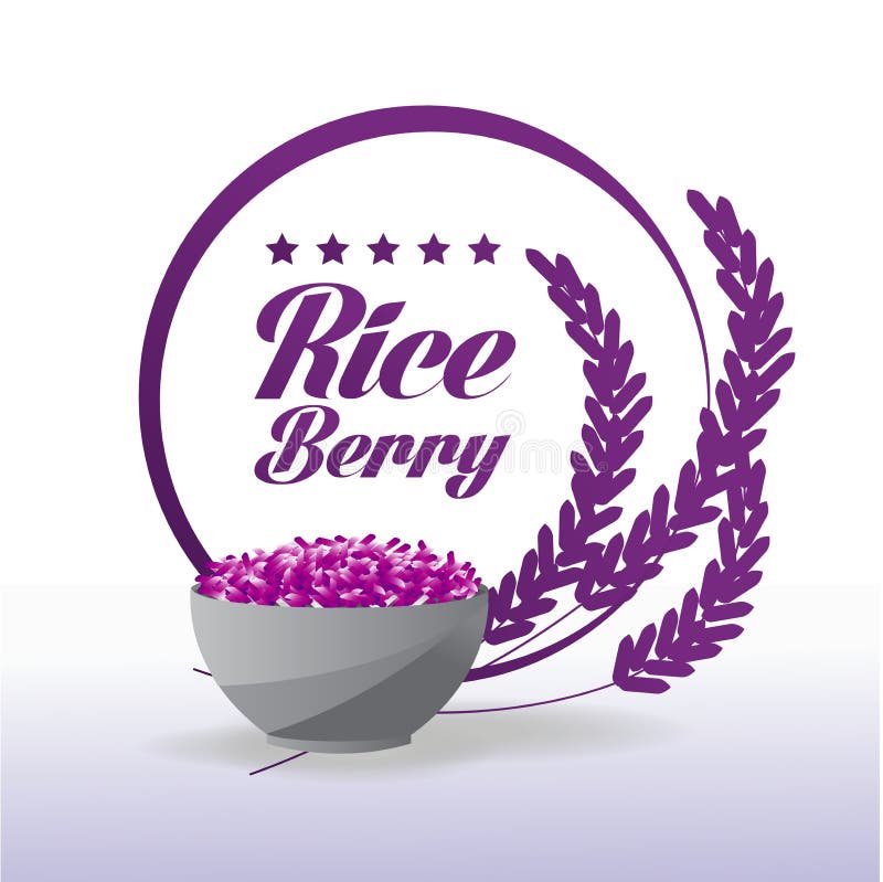 Premium Rice Great Quality Design Concept Vector. Stock Vector ...