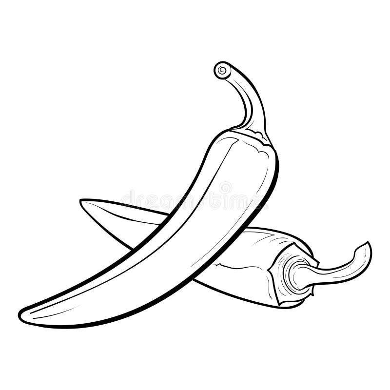 Fresh Chilli Illustration. Hand Drawn Watercolor on White Background ...