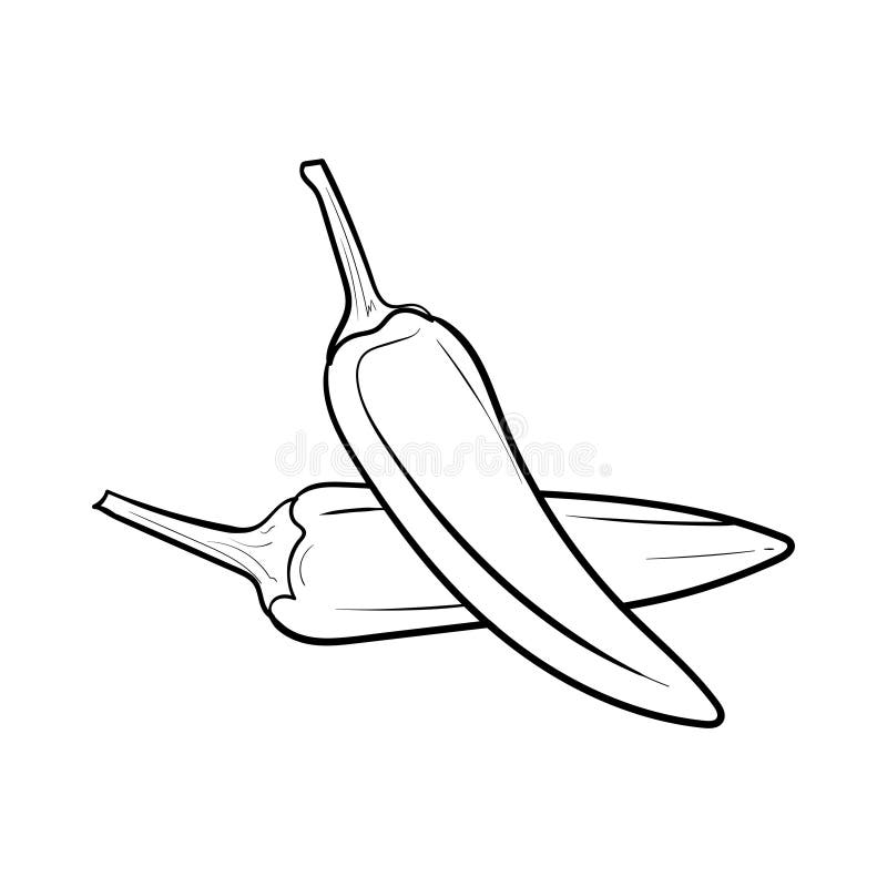 Fresh Chilli Pepper with Hand Drawing or Sketch Style. Sketch of ...