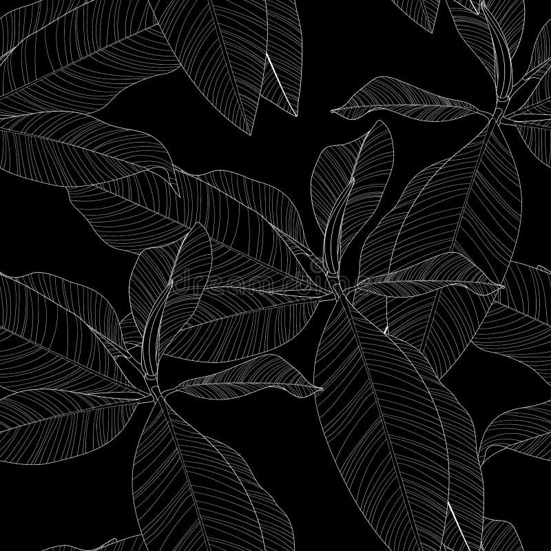 Ficus Tree Drawing Stock Illustrations – 1,035 Ficus Tree Drawing Stock ...