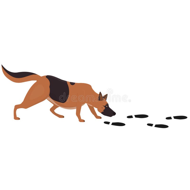 Dog is on the Trail. Tracking, Vector Illustration Stock Illustration ...