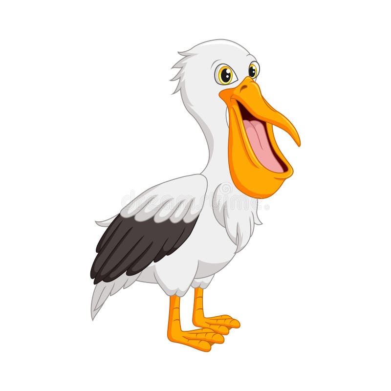 Funny pelican bird stock vector. Illustration of smiling - 23781705