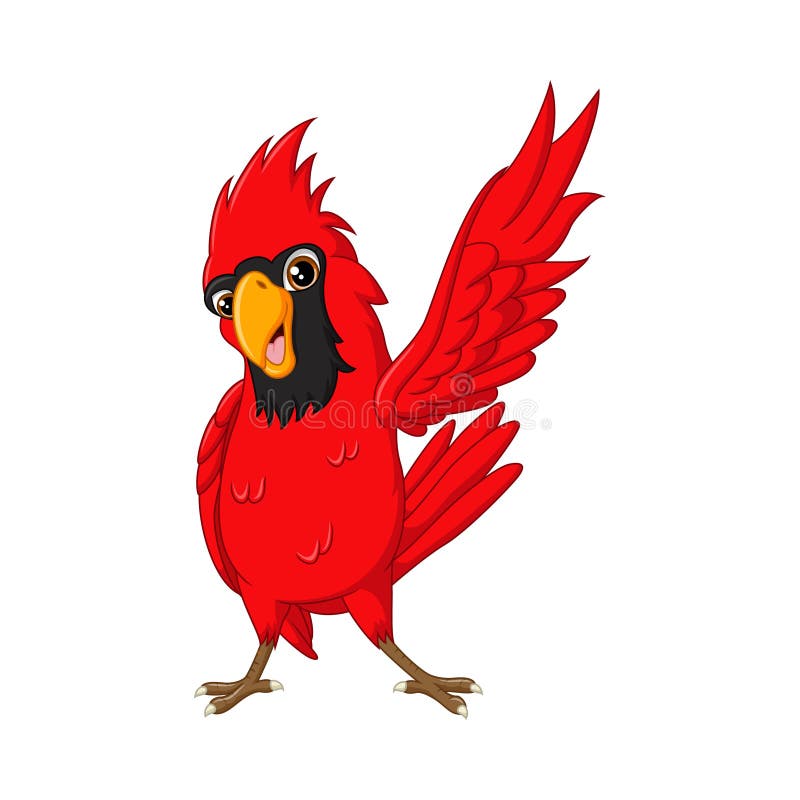Funny Cardinal Bird Stock Illustrations – 282 Funny Cardinal Bird Stock ...