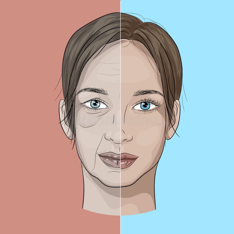 Illustration of a Woman`s Face in the Aging Process Stock Vector ...