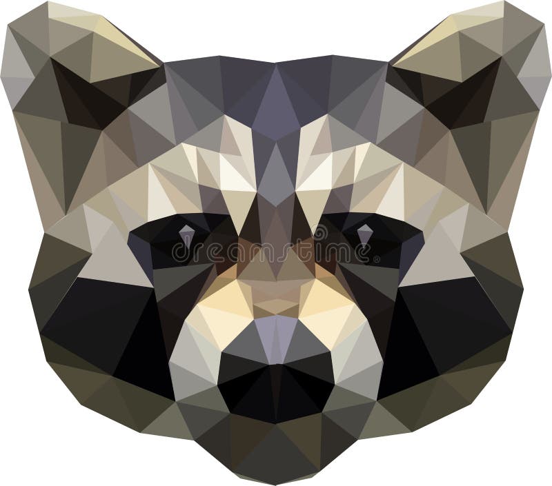 Low poly raccoon head stock vector. Illustration of head - 212989046