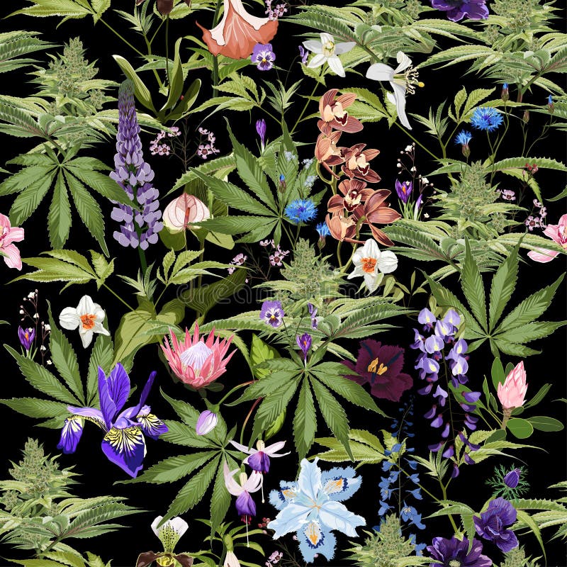 Seamless Pattern of Cannabis Plant and Many Kind of Flowers. Legal ...