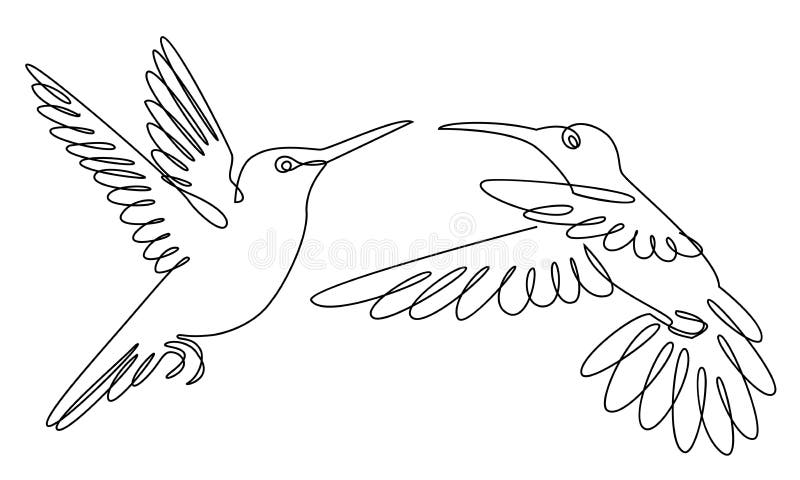 Two Hummingbirds are Flying. Birds in a Modern One Line Style. Solid ...