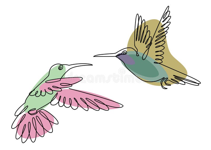 Two Hummingbirds Drawings