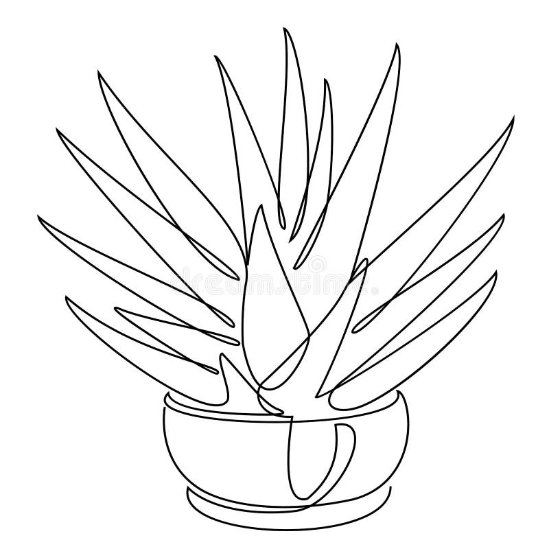 Potted Agave Plant Line Drawing Stock Illustrations – 71 Potted Agave ...