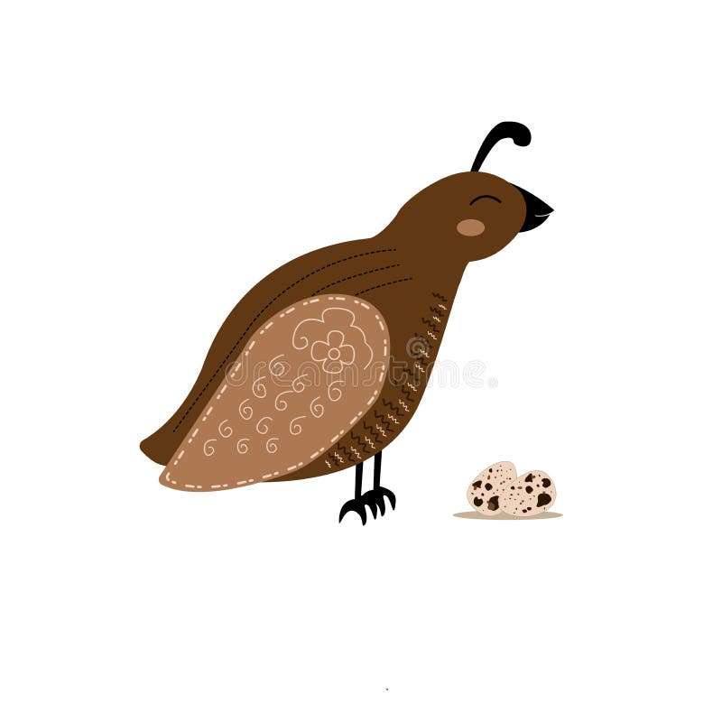 Doodle Quail Stock Illustrations – 260 Doodle Quail Stock Illustrations ...