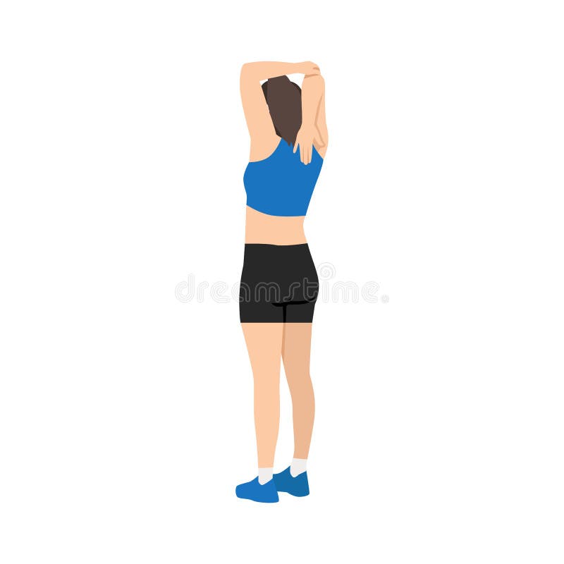 Woman Doing Triceps Stretch Exercise. Stock Illustration - Illustration ...
