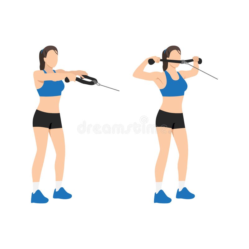 Woman Doing Face Pull. Rear Felt Pull Exercise Stock Vector ...