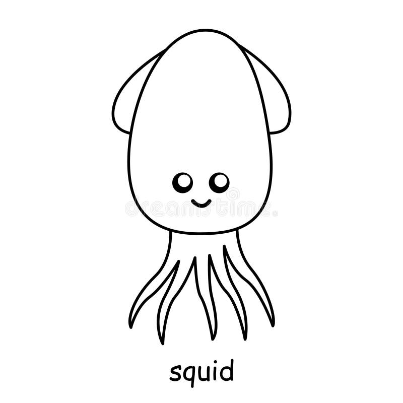Squid Outline. Isolated Squid on White Background Stock Vector ...