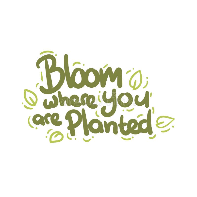 Bloom Where You are Planted Quote Text Typography Design Vector ...