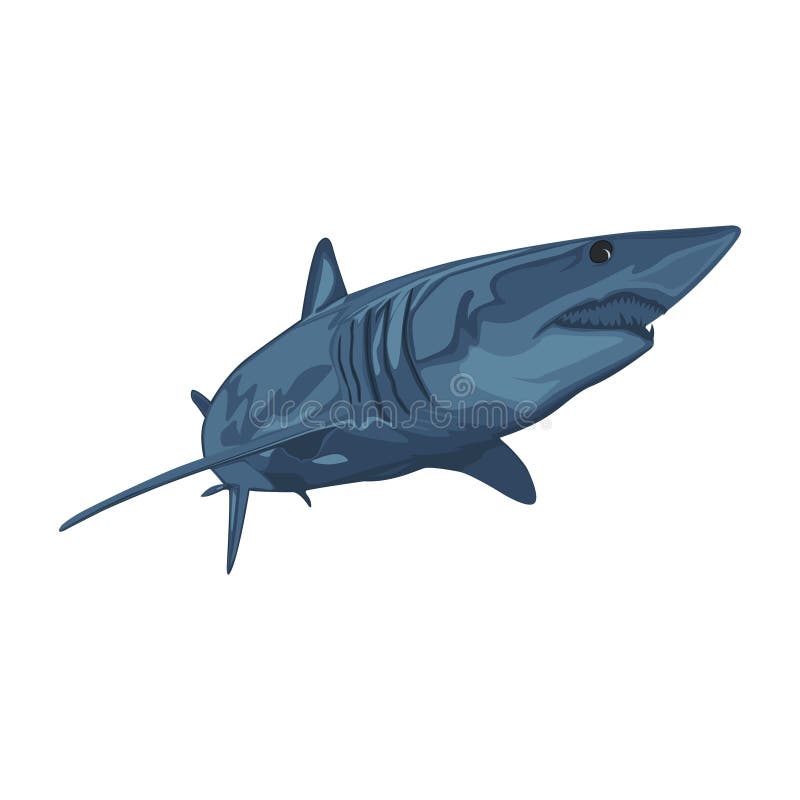 Vector Illustration of a Shark in Blue on a White Background Stock ...