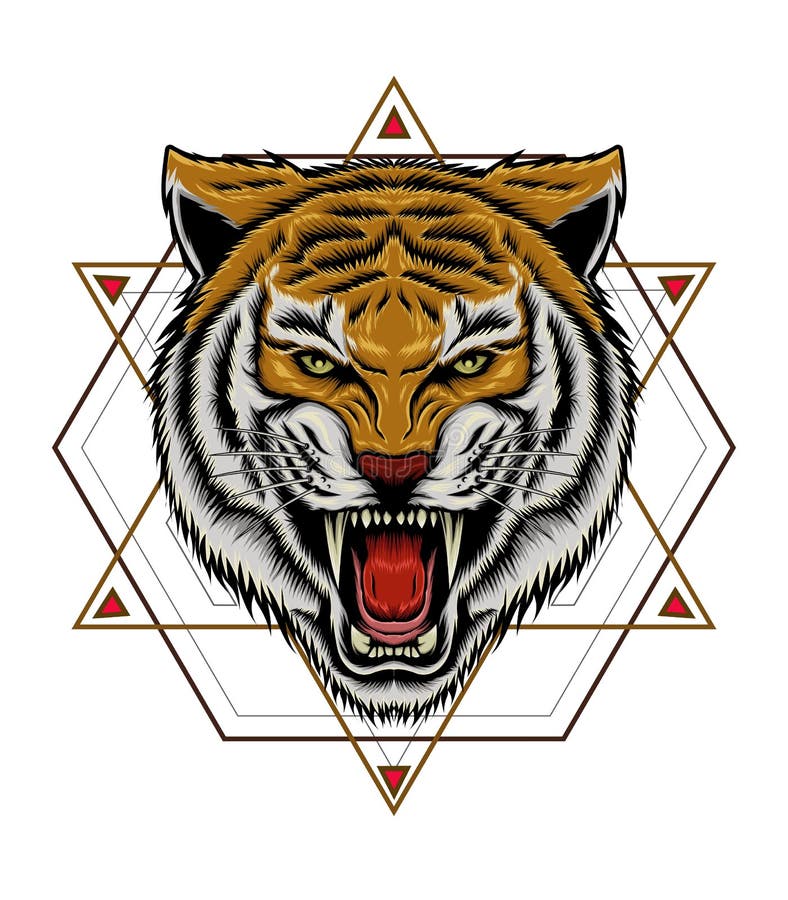 Basic Tiger Stock Illustrations – 423 Basic Tiger Stock Illustrations ...